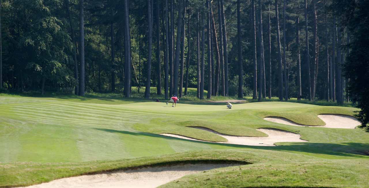 Brocket Hall Gallery - Elysian Estates